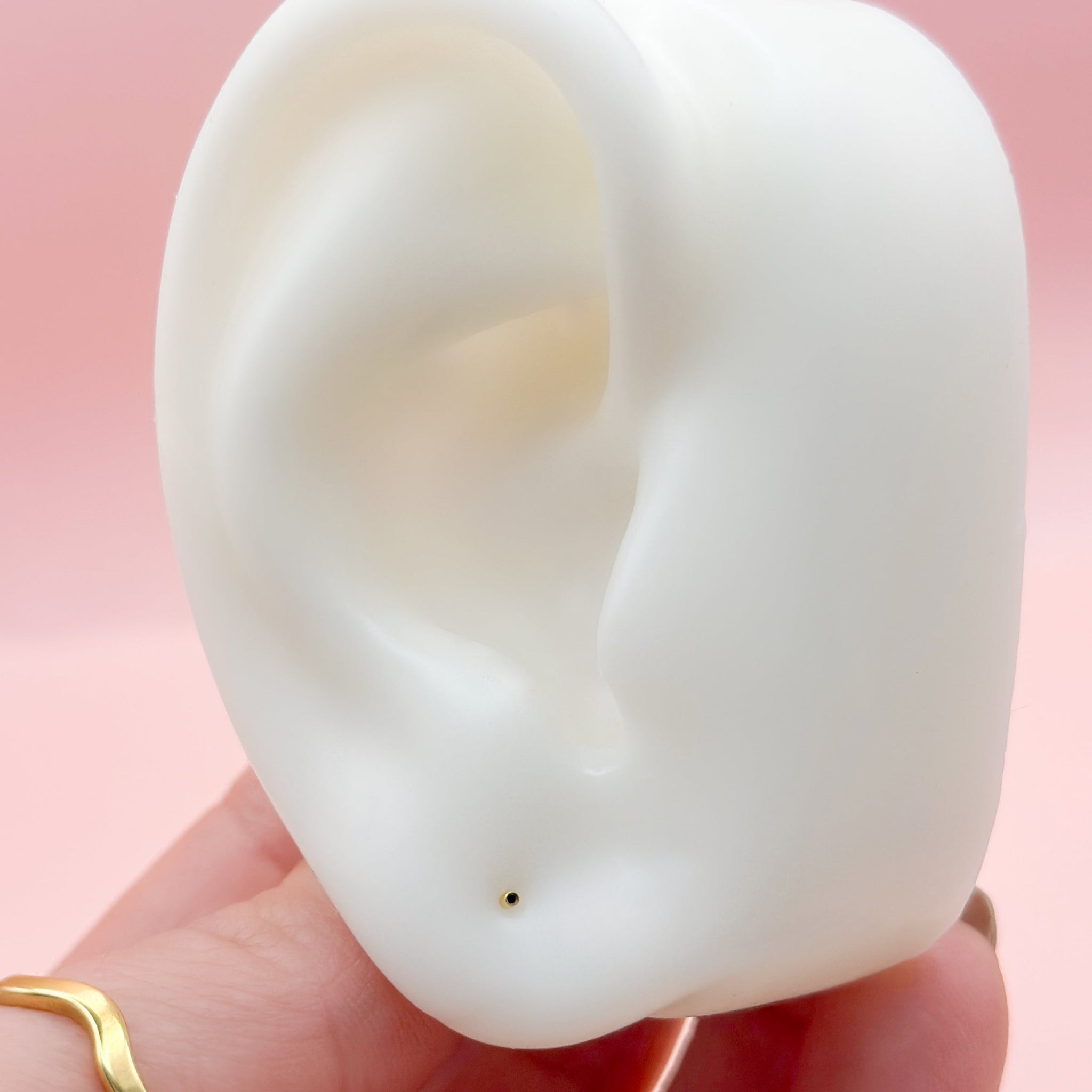 Flat Back Insertion Tool™ for Piercings - Get Pierced Co. – Get Pierced Co.